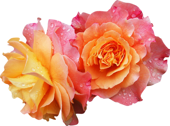 Float – Demo for Float